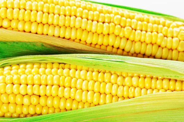 Corn — Stock Photo © Maks_Narodenko #75084947
