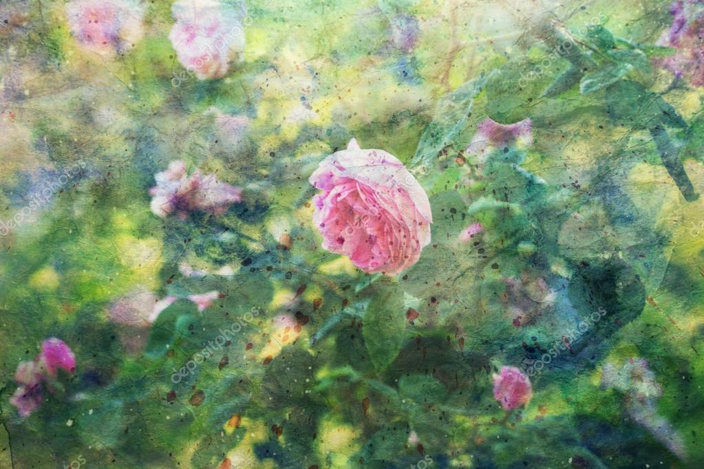 Pink roses and watercolor splatter Stock Photo by ©Abigail210986 101328122