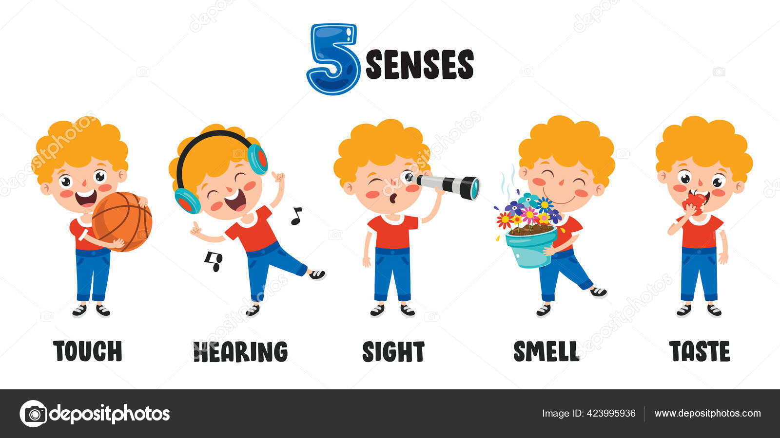 5 Senses Clipart