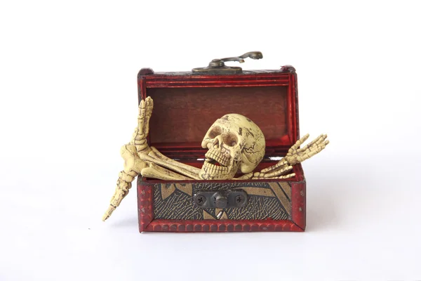 Skeleton in wood box Stock Photos, Royalty Free Skeleton in wood box ...