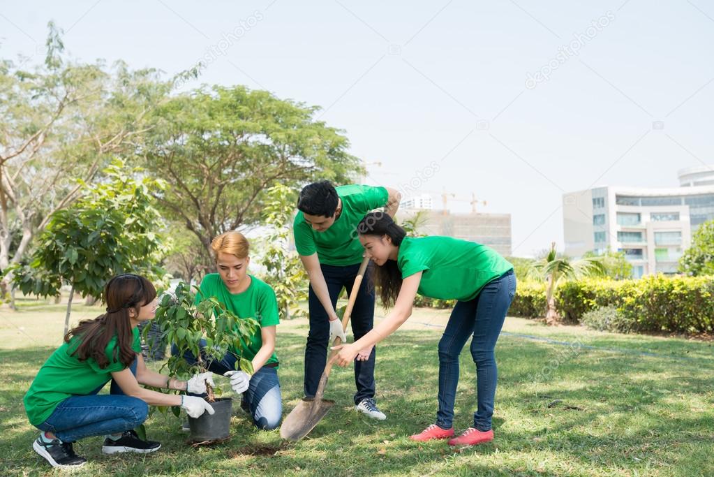 Young people planting trees Stock Photo by ©DragonImages 115218688