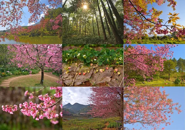 Wang template Stock Photos, Royalty Free Wang template Images ...