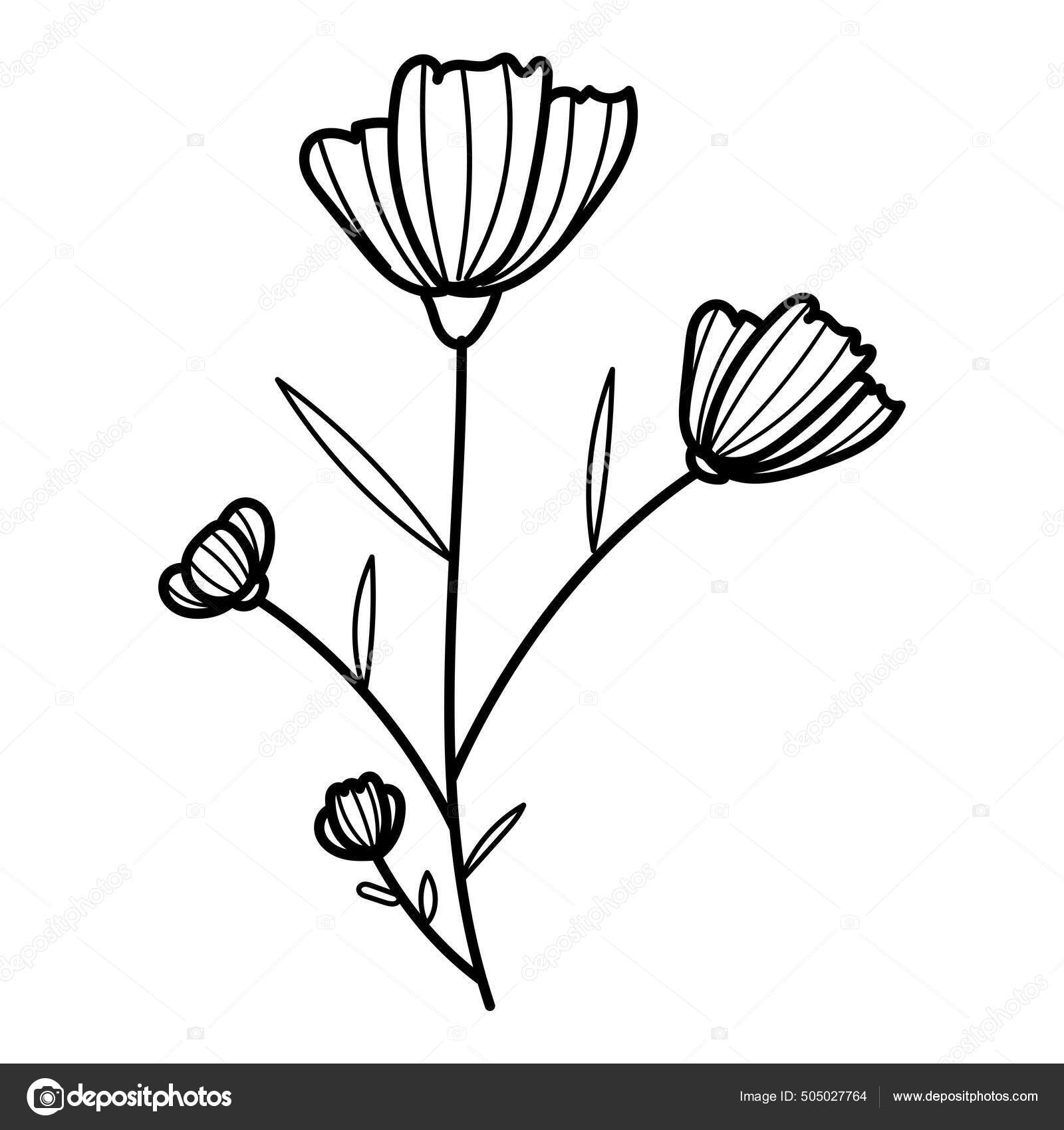 Doodle Botanical Hand Drawn Decorative Leaf Illustration Stock Vector ...