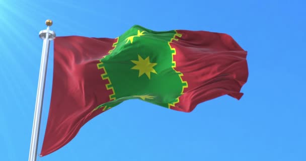 102 Flag of indigenous peoples Videos, Royalty-free Stock Flag of ...