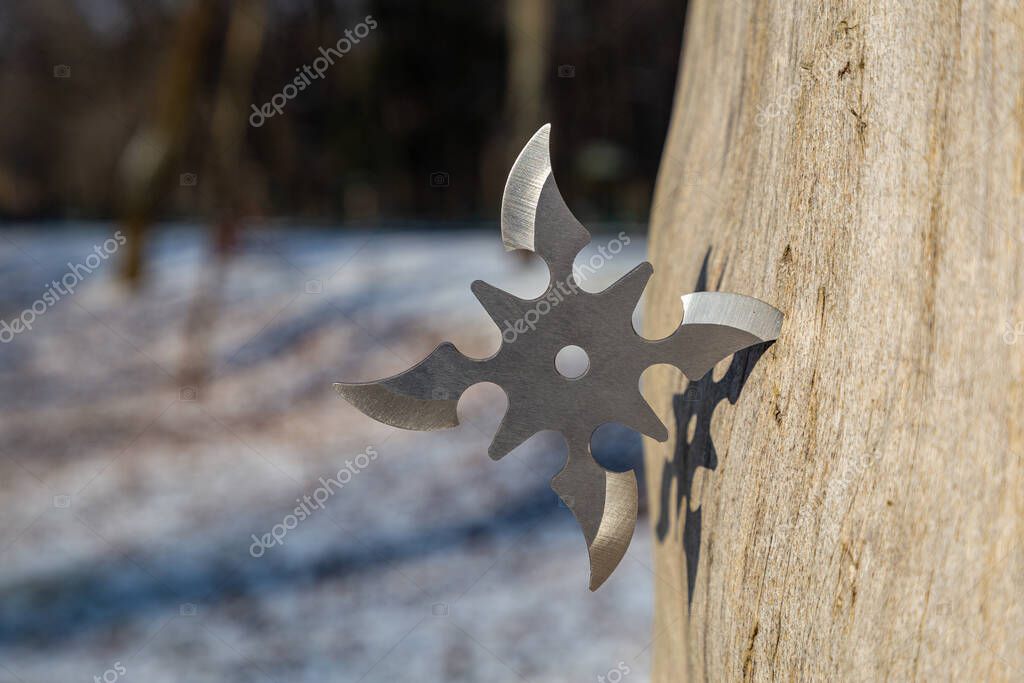 Shuriken (estrella lanzadora), arma fría ninja tradicional japonesa atascada en un fondo de ...