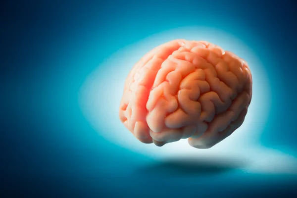 Brain running Stock Photo by ...
