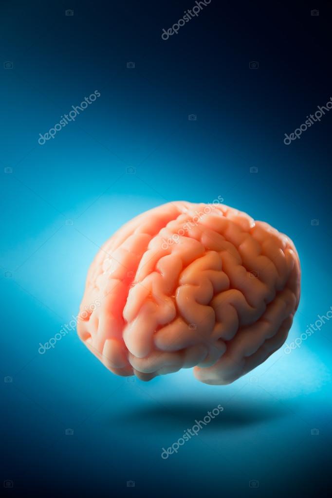 Brain, thoughts concept Stock Photo by ©fergregory 82283770