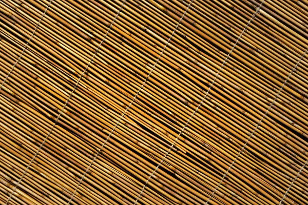 Reed texture Images - Search Images on Everypixel
