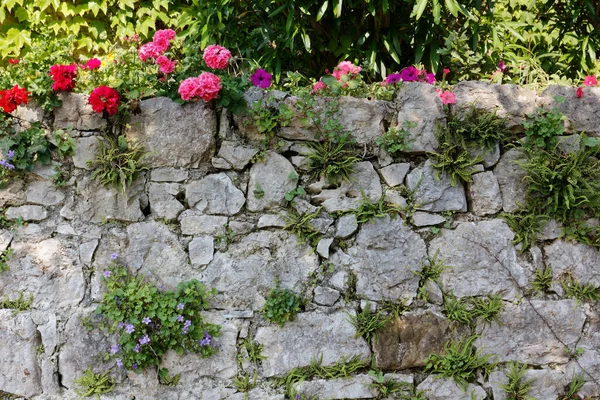 Flower retaining wall Stock Photos, Royalty Free Flower retaining wall ...