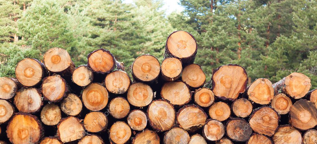 La tala, la deforestación del planeta. troncos apilados. Fondo de ...