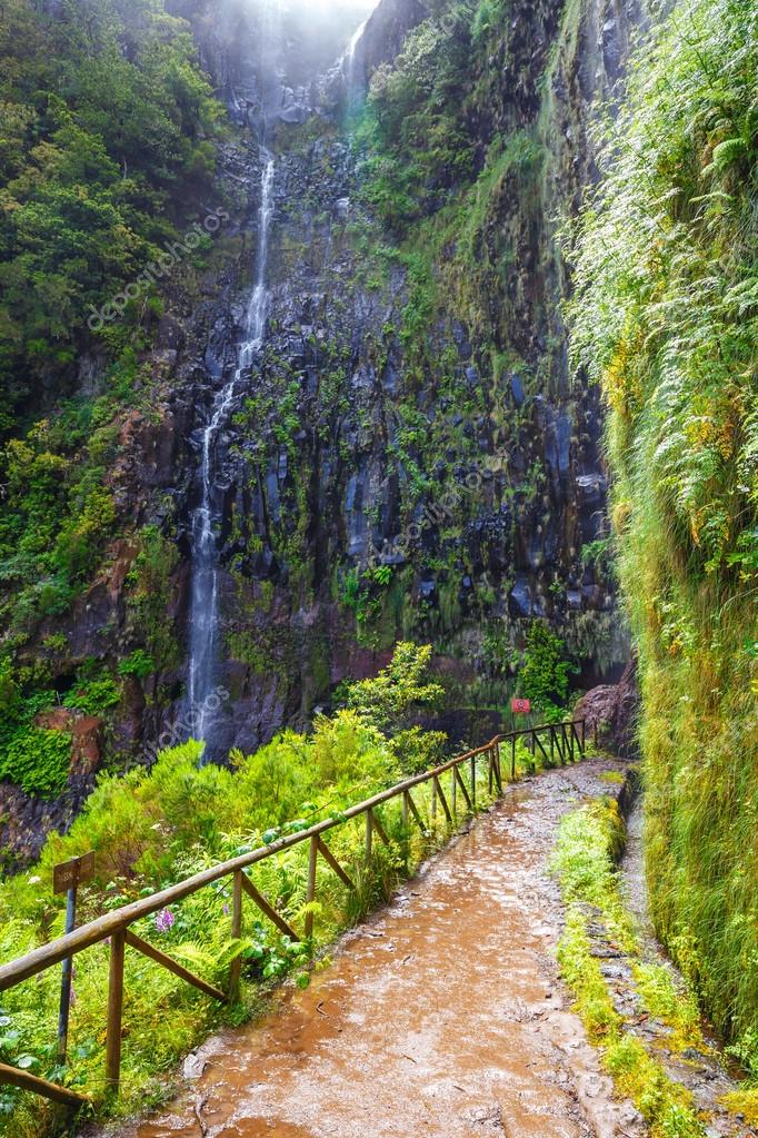 bosque de laurel y canal de riego. Lewada das 25 fontes y Lewada do ...
