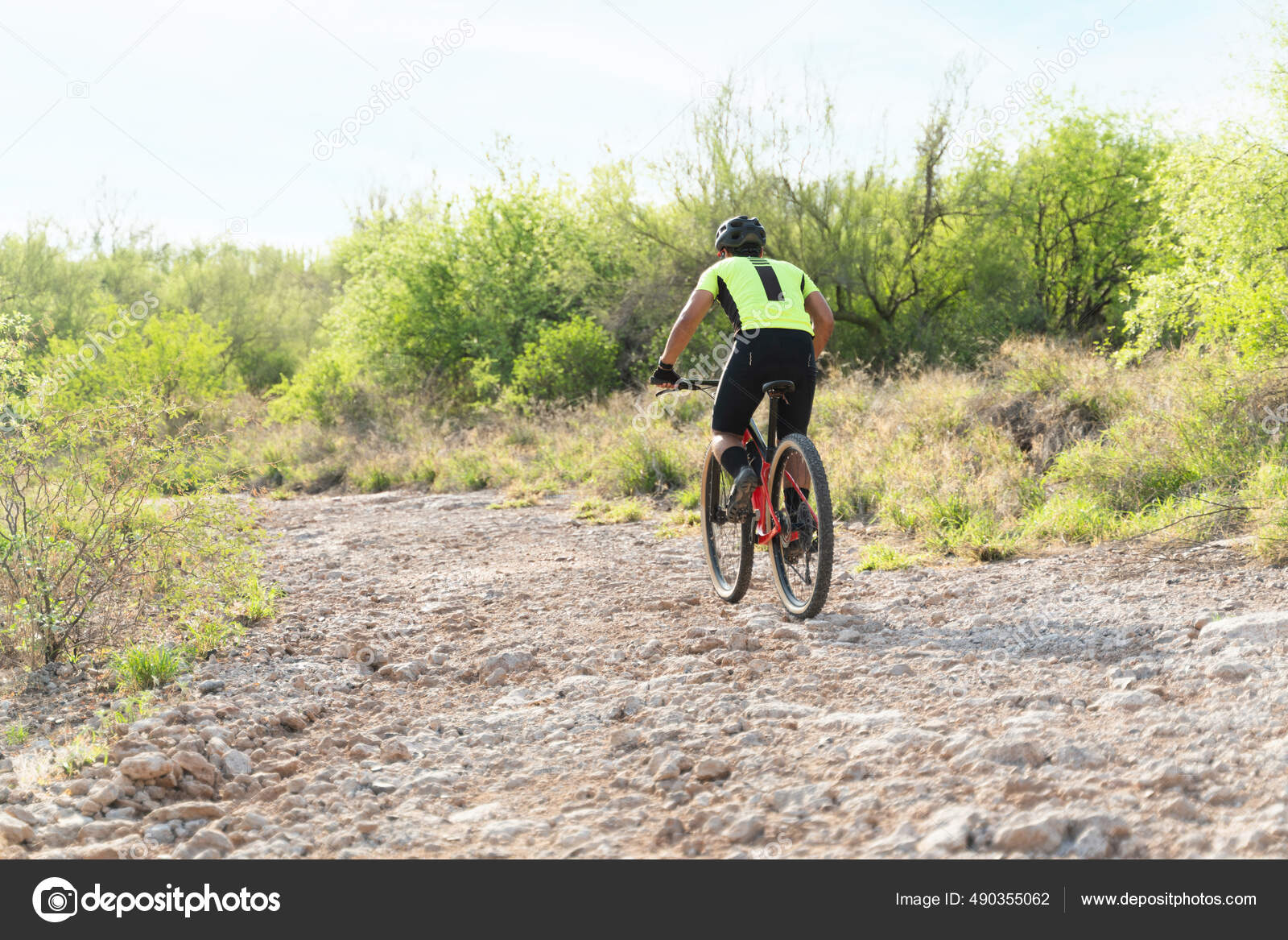 Rear View Male Cyclist His 20S Riding Mountain Bike Green Stock Photo ...