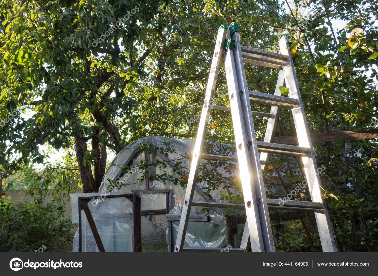 Ladder Garden Gardening Concept — Stock Photo © mtaratun@gmail.com ...