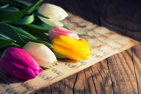 Sonata Stock Photos, Royalty Free Sonata Images | Depositphotos®