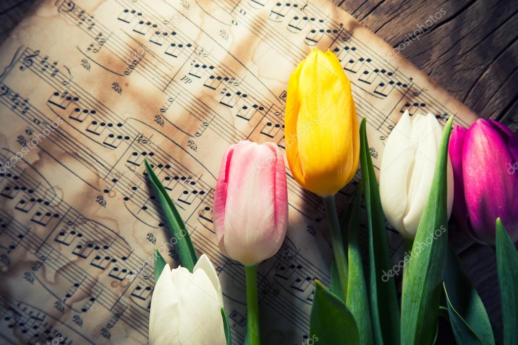 Tulips on a music notes paper — Stock Photo © merrydolla #71724135
