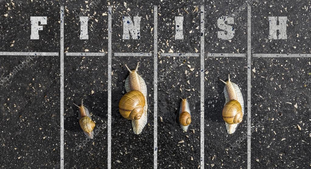 Snail run competition concept Stock Photo by ©matju78 124095250