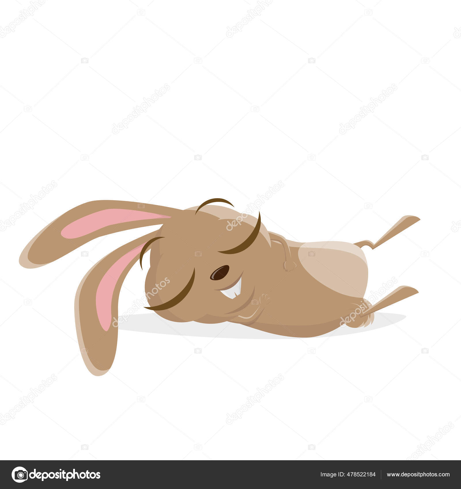 Cartoon Rabbit Sleeping
