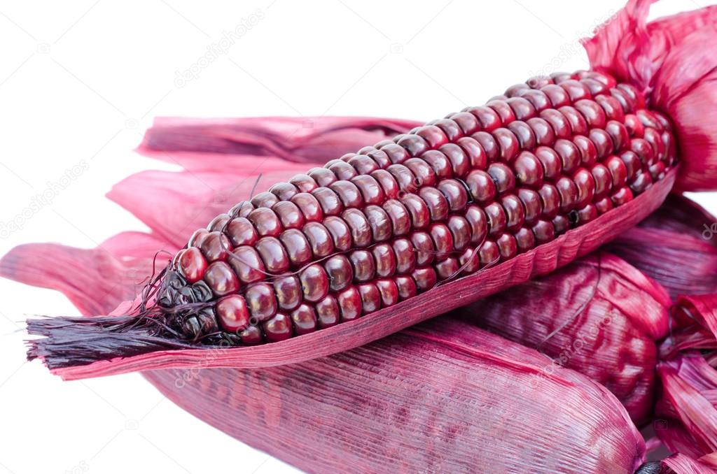 Purple corn Stock Photo by ©stingray1 71678647