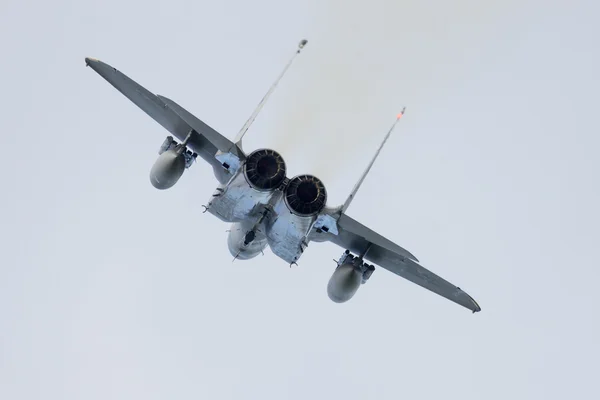 F 15 eagle Stock Photos, Royalty Free F 15 eagle Images | Depositphotos