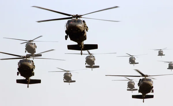 Flying black hawk Stock Photos, Royalty Free Flying black hawk Images ...