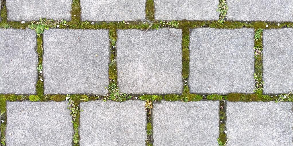 Concrete Grass Texture