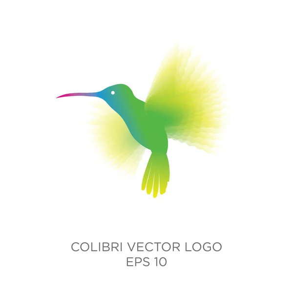 ᐈ Colibri bird stock vectors, Royalty Free colibri illustrations ...