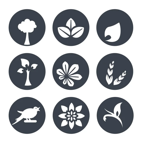 Vector natural symbols with leaf — Stock Vector © Rena_Design #33334523