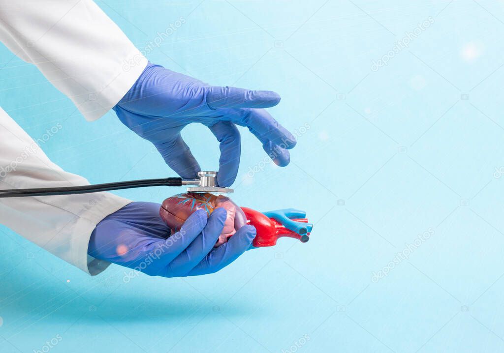 El médico sostiene un corazón falso de un hombre en su mano y lo ...