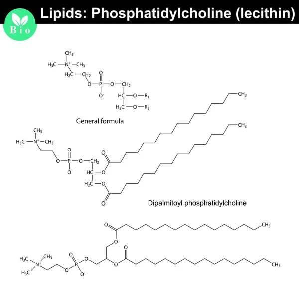 Lecithin chemical structure Stock Vector Image by ©logos2012 #90816688