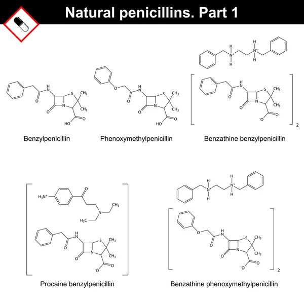 1,168 Gram positive Vector Images, Gram positive Illustrations ...