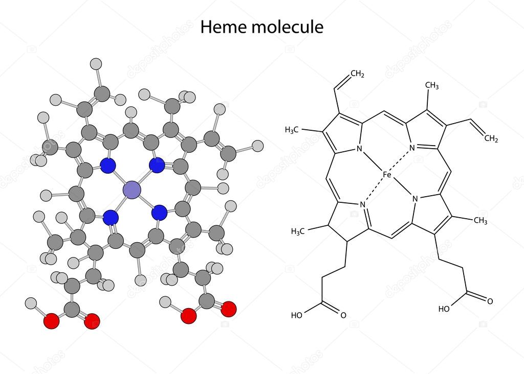 Structural chemical formula of heme molecule Stock Vector Image by ...