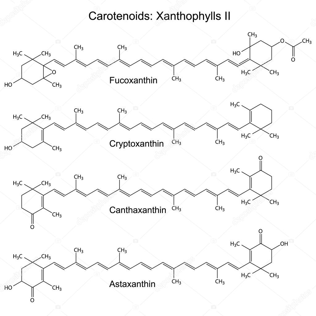 Xanthophylle