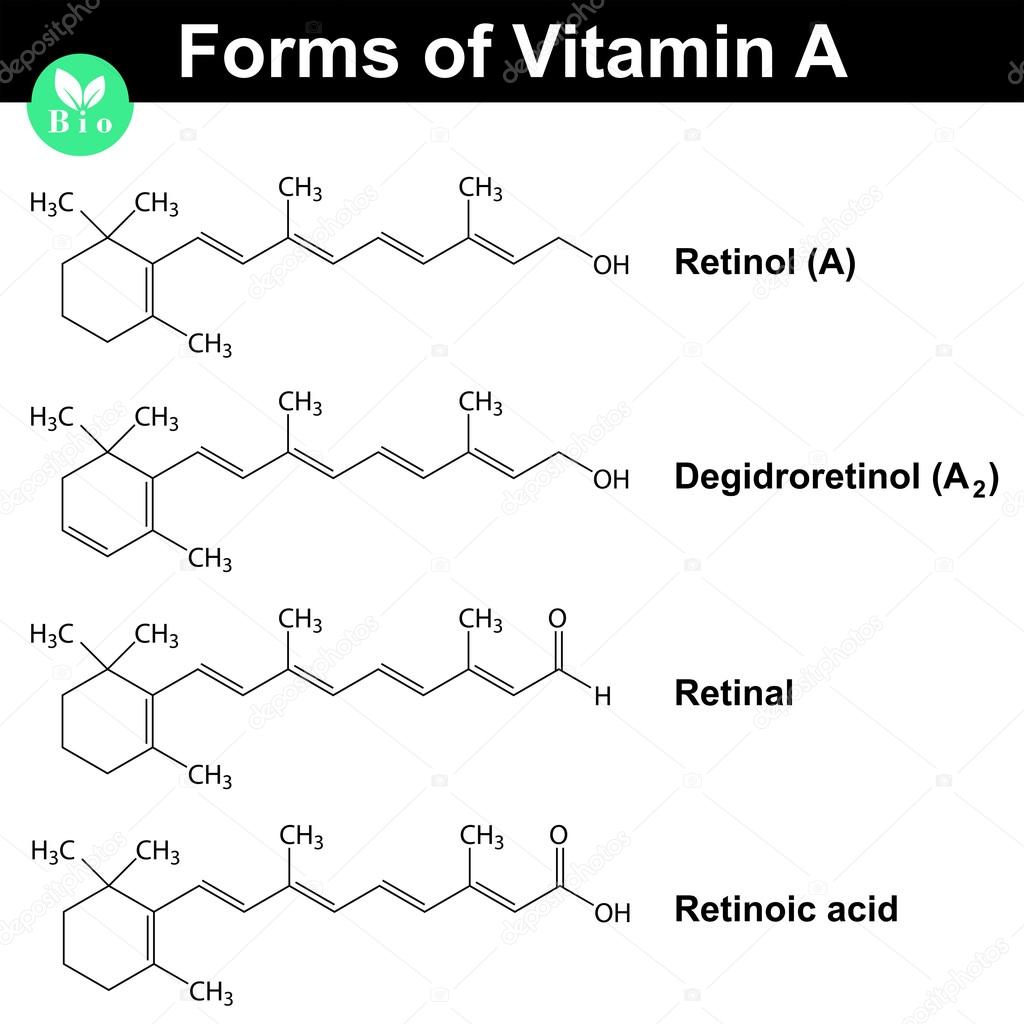 Formas de la vitamina A — Archivo Imágenes Vectoriales © logos2012 ...