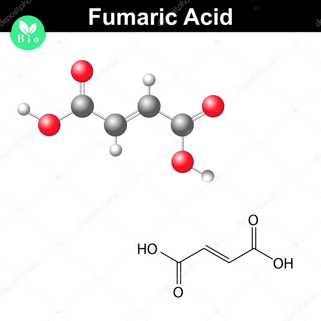 Fumaric acid molecule Stock Vector Image by ©logos2012 #90018852
