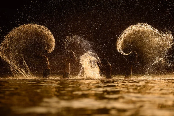 Funny water Images - Search Images on Everypixel