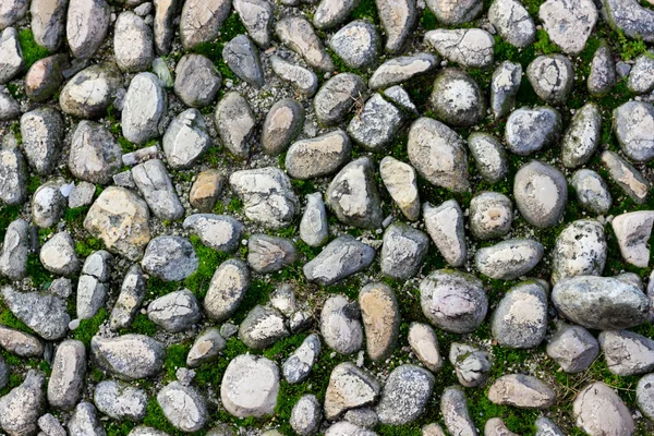Rock garden Stock Photos, Royalty Free Rock garden Images | Depositphotos