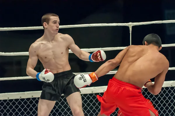 Fight in mixed martial arts - Stock Image - Everypixel