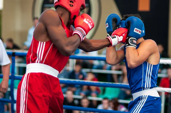 Boxing match - Stock Image - Everypixel