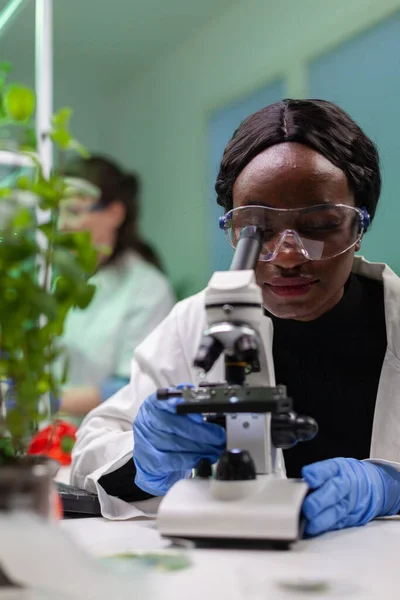 Biologist researcher scientist looking at leaf sample under medical ...
