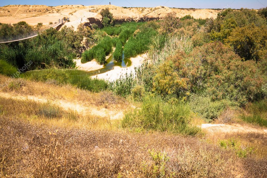 Puente colgante y Besor Brook en el Parque Nacional Eshkol, desierto de ...