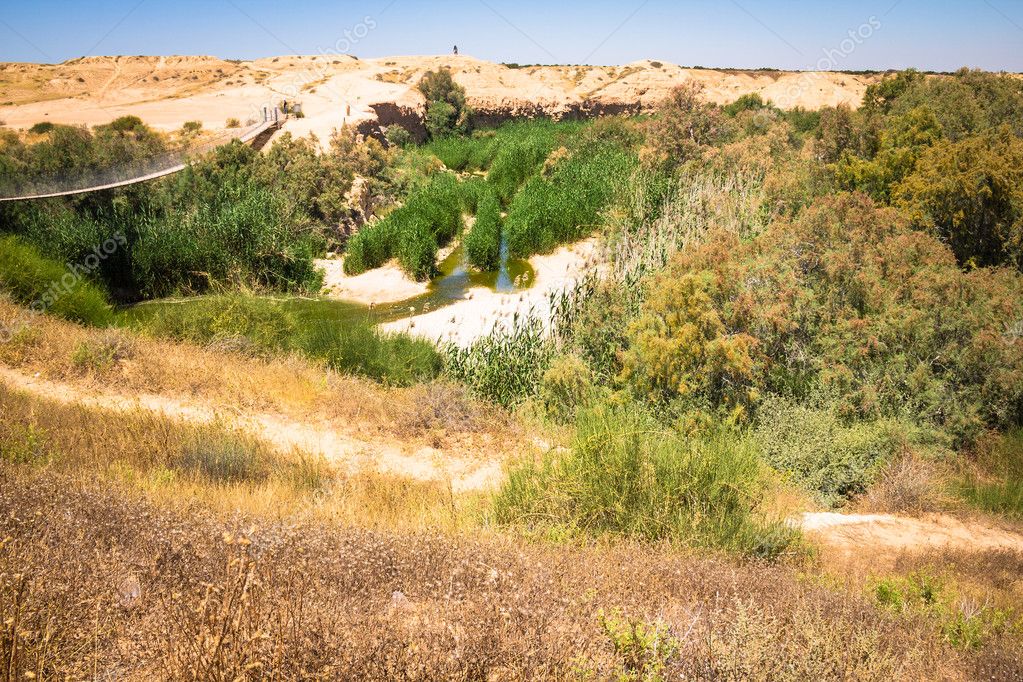 Puente colgante y Besor Brook en el Parque Nacional Eshkol, desierto de ...