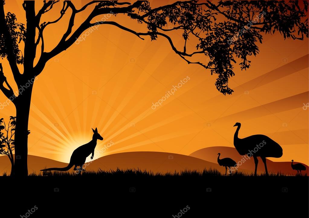 Emu kangaroo sunset Stock Vector Image by ©ekays #101999700
