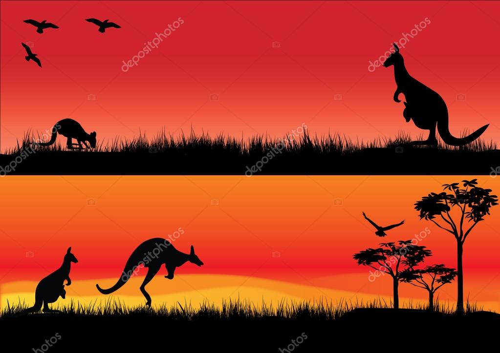 Australian Landscape Kangaroo