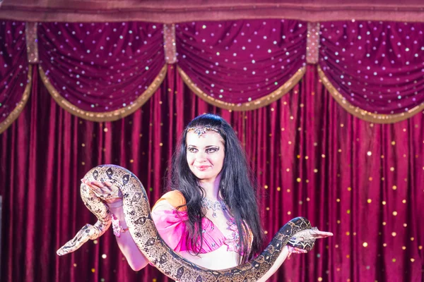 Exotic Belly Dancer with Large Snake on Stage Stock Photo by ...