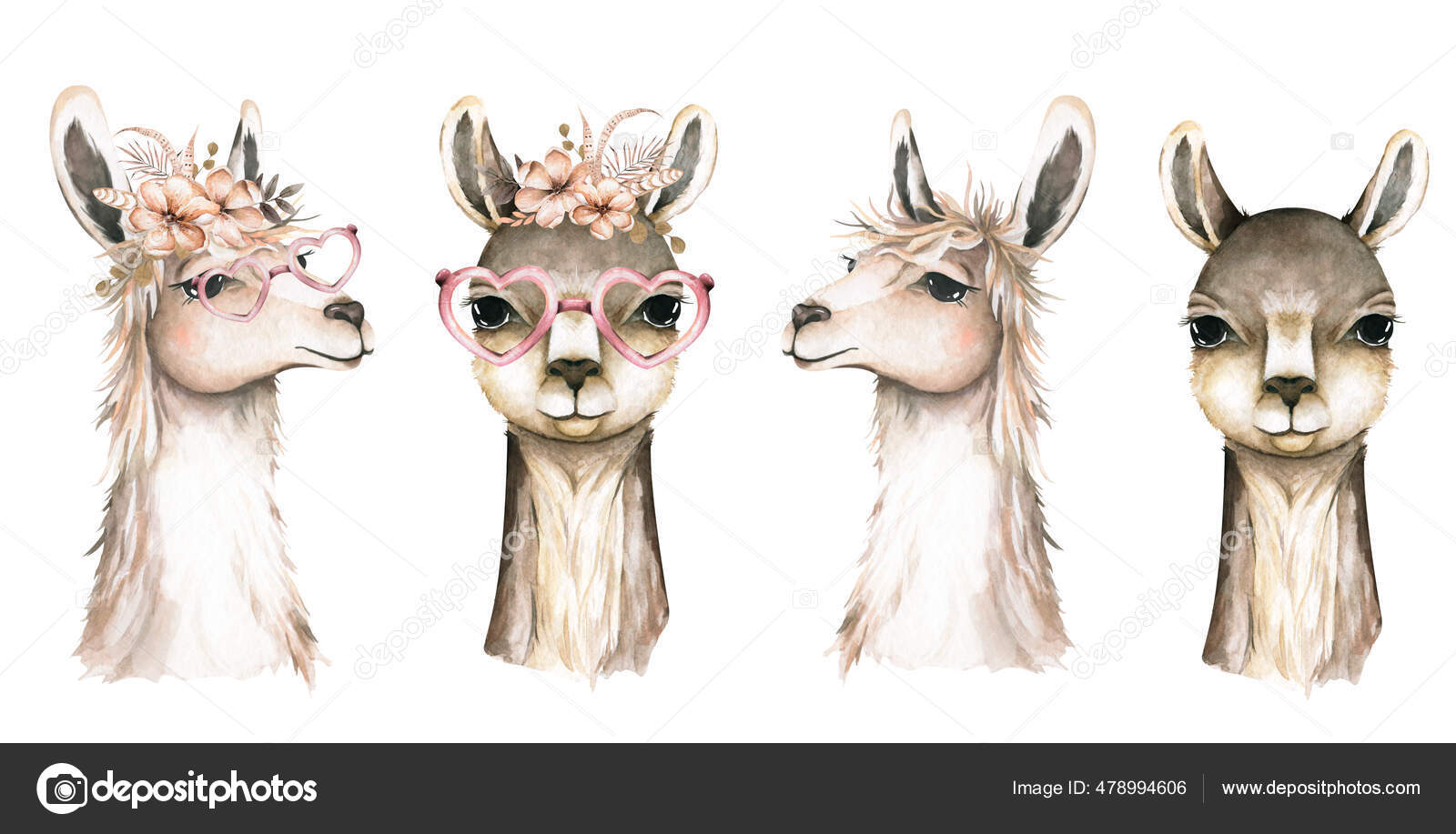 Lama head isolated. guanaco face in watercolor style. Wild nature ...