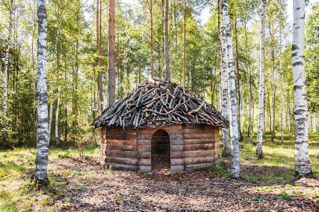 Timber made hut in birch forest — Stock Photo © risto40 #81809850