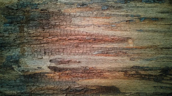 Tree staining Stock Photos, Royalty Free Tree staining Images ...