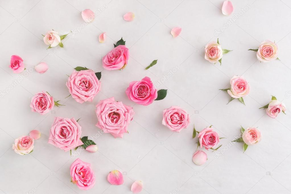 Assorted roses heads Stock Photo by ©Slast 99822860
