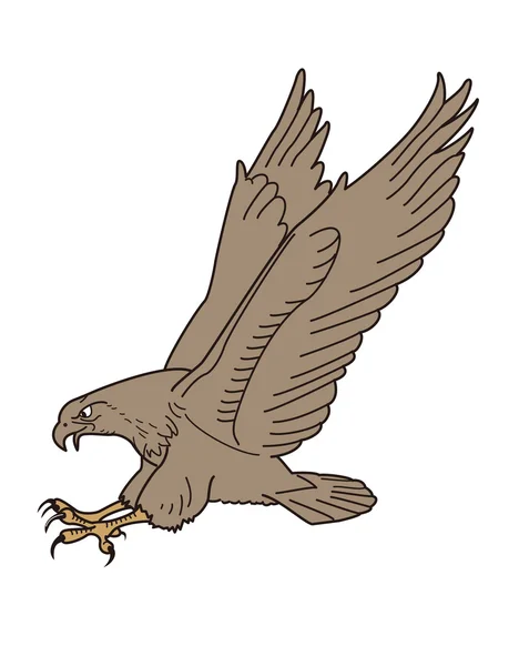 Flying Hawk Cartoon