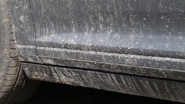 19 Car sills Videos, Royalty-free Stock Car sills Footage | Depositphotos